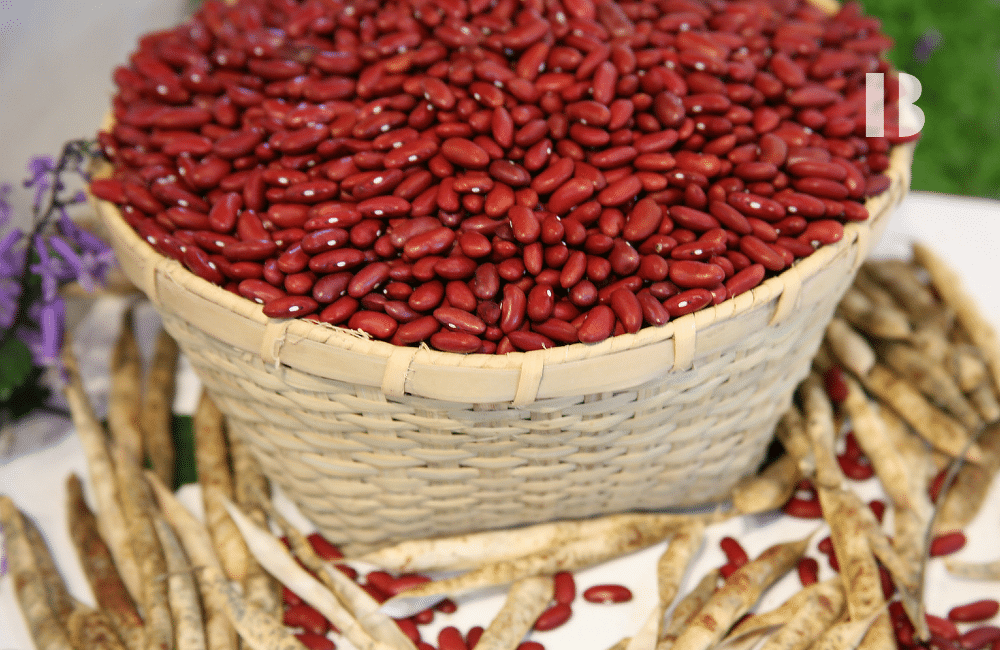 The 10 Best Source of Omega-3 Fatty Acids for Vegetarians